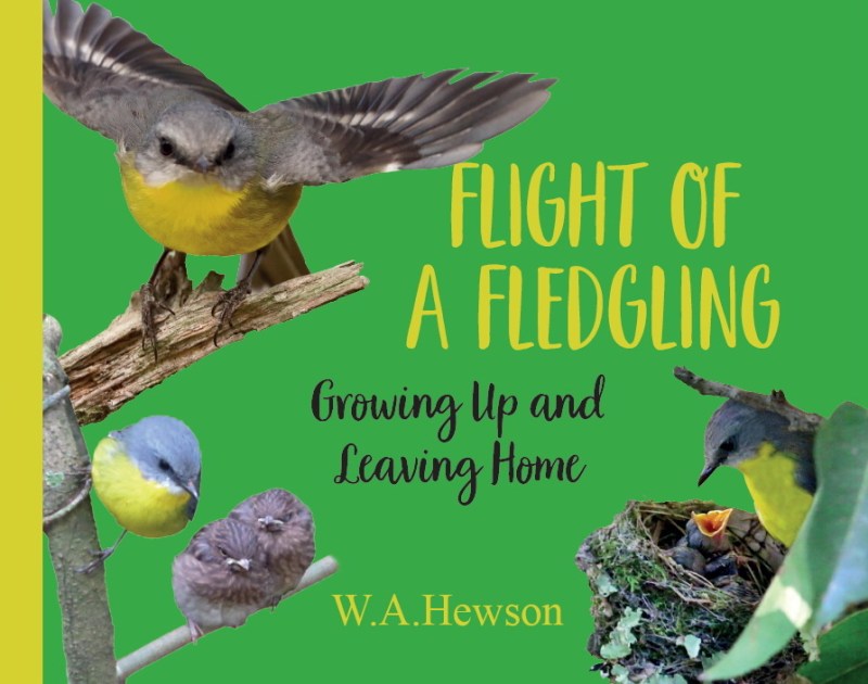 Birdbooks – aussiebirder